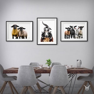 Suffolk Sheep Painting - Suffolk Sheep Art Print - Sheep Print ...