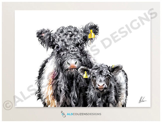 Belted Galloway Cow Art Beltie Cow Oreo Cow Cow Gifts - Etsy UK