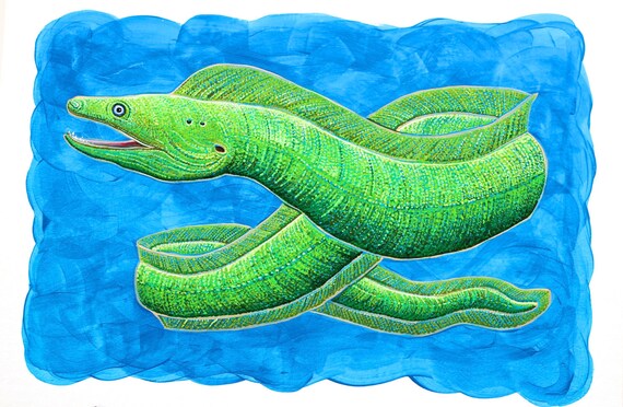 Green Moray Eel Drawing