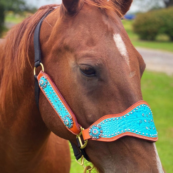 Bronc Halter - Etsy
