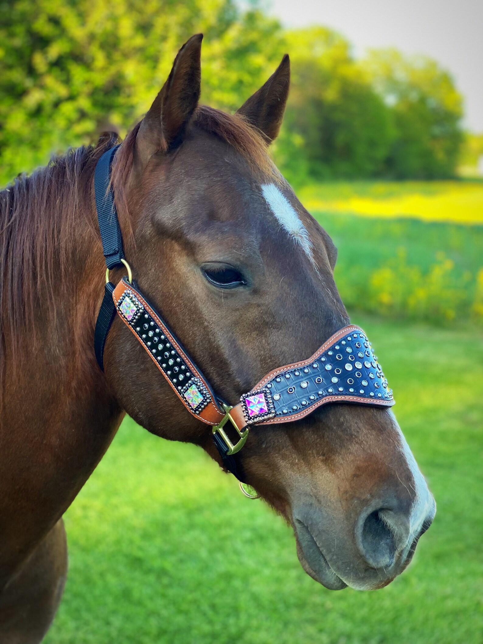 Black Bling Bronc Halter - Etsy
