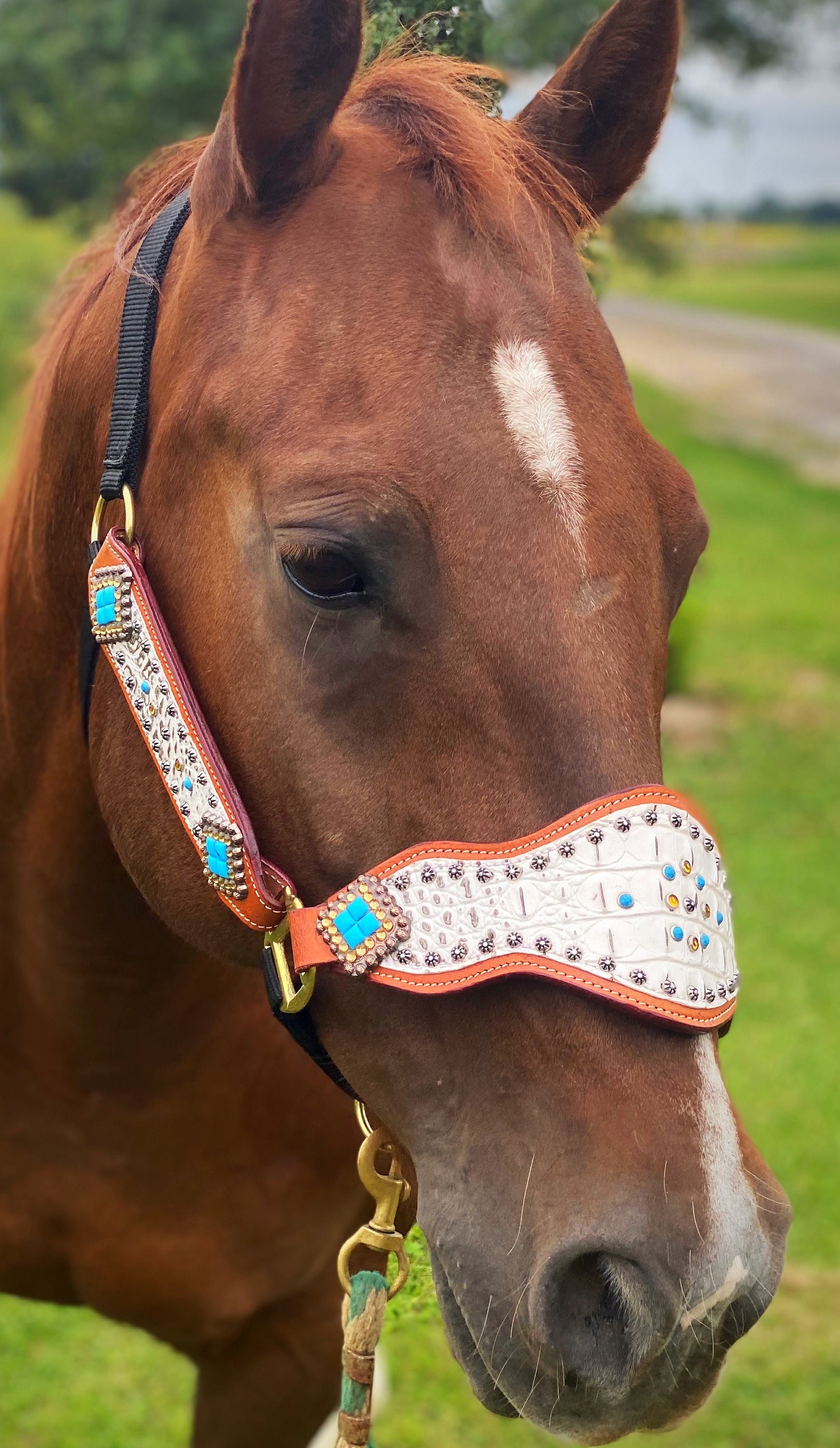 Penelope Bronc Halter - Etsy