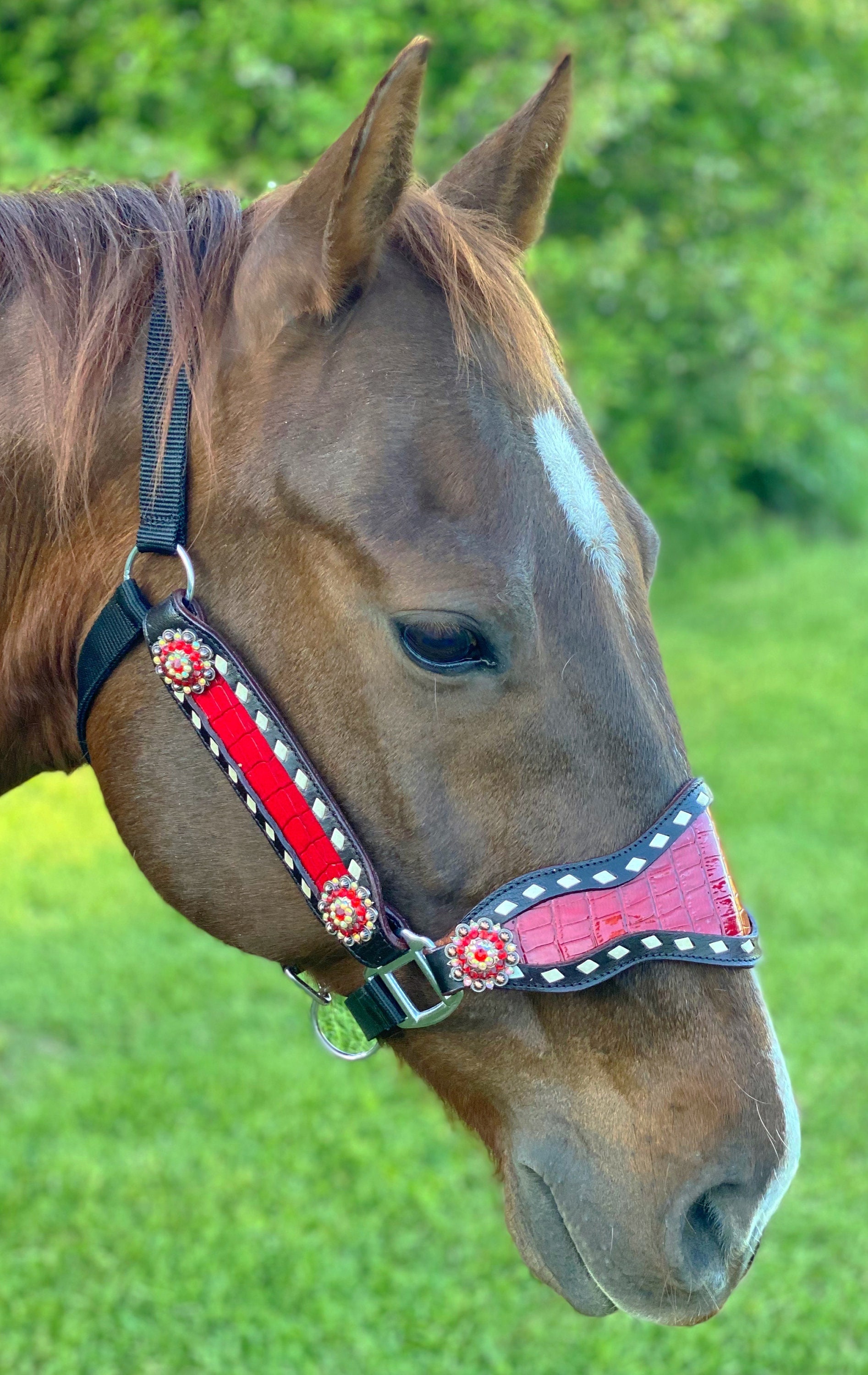Red Gator Inlay Bronc Halter - Etsy