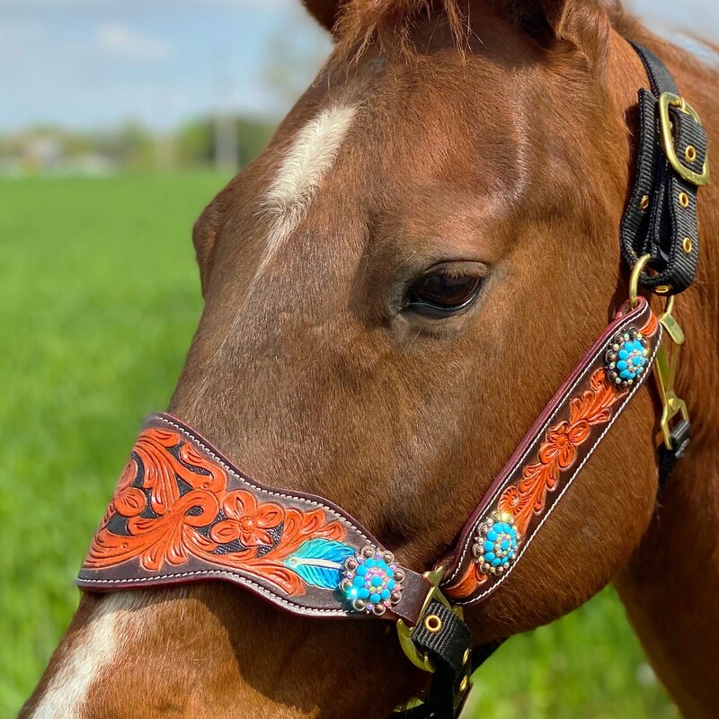Bronc Halter - Etsy