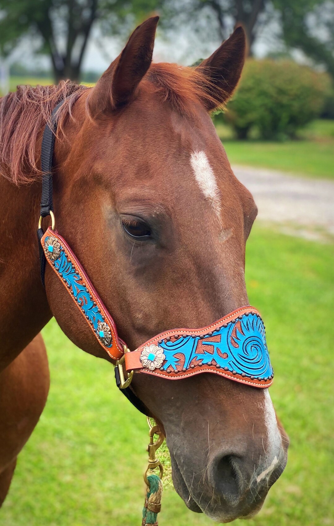Turquoise Scroll Bronc Halter - Etsy