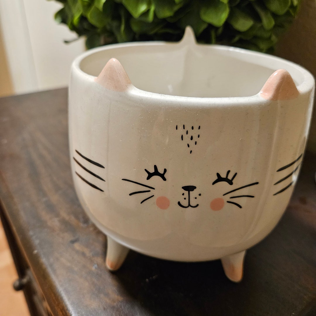 Cat Pot 5.5 Inch Tall - Etsy