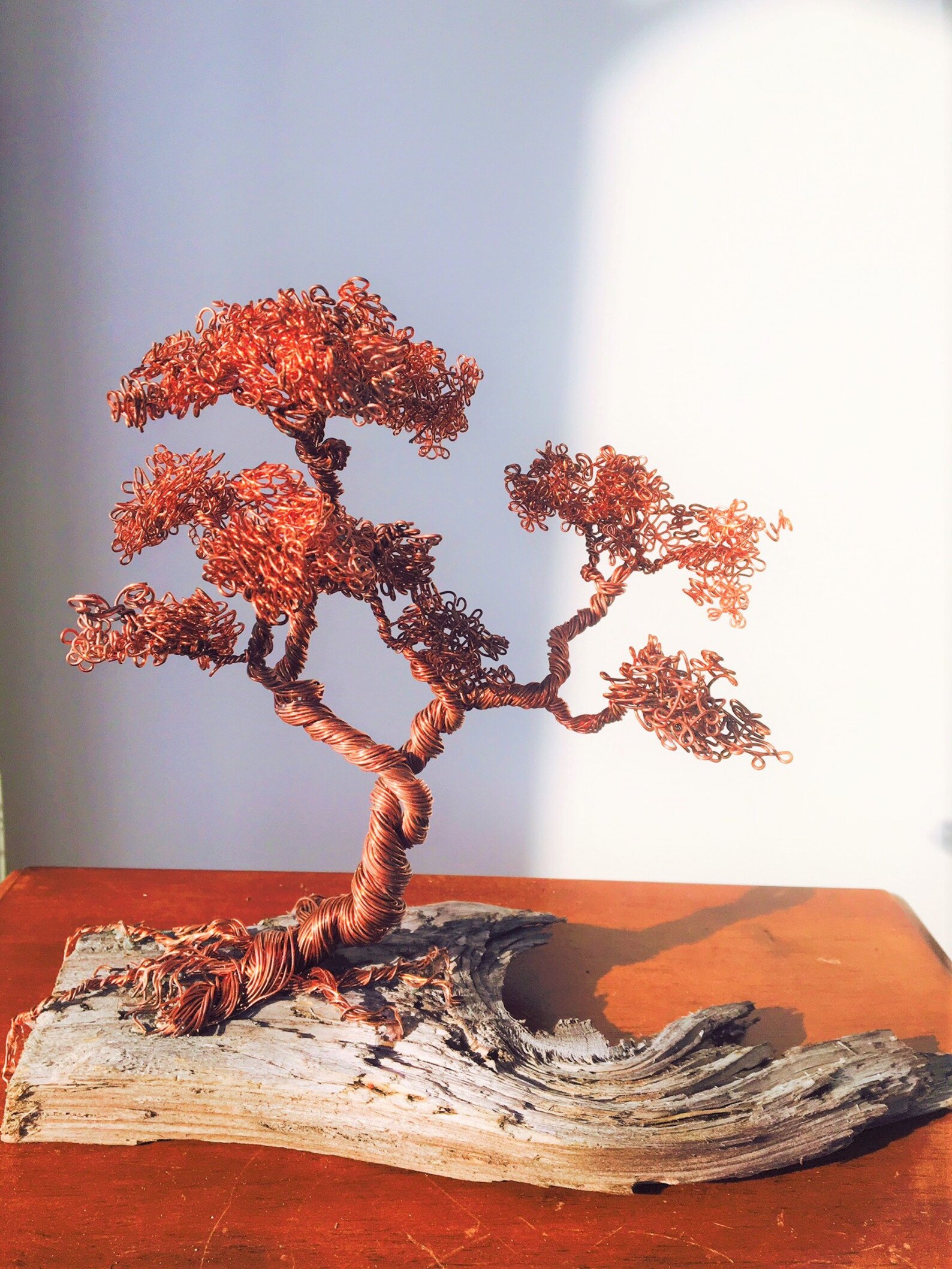Bonsai Copper Tree on Stone or Knot | Etsy