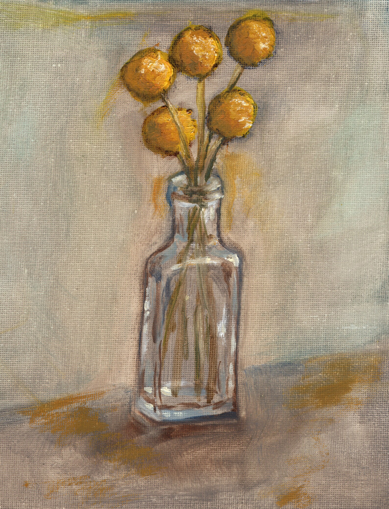 Billy Button Flowers in Bottle 8x10 Art Print - Etsy Australia