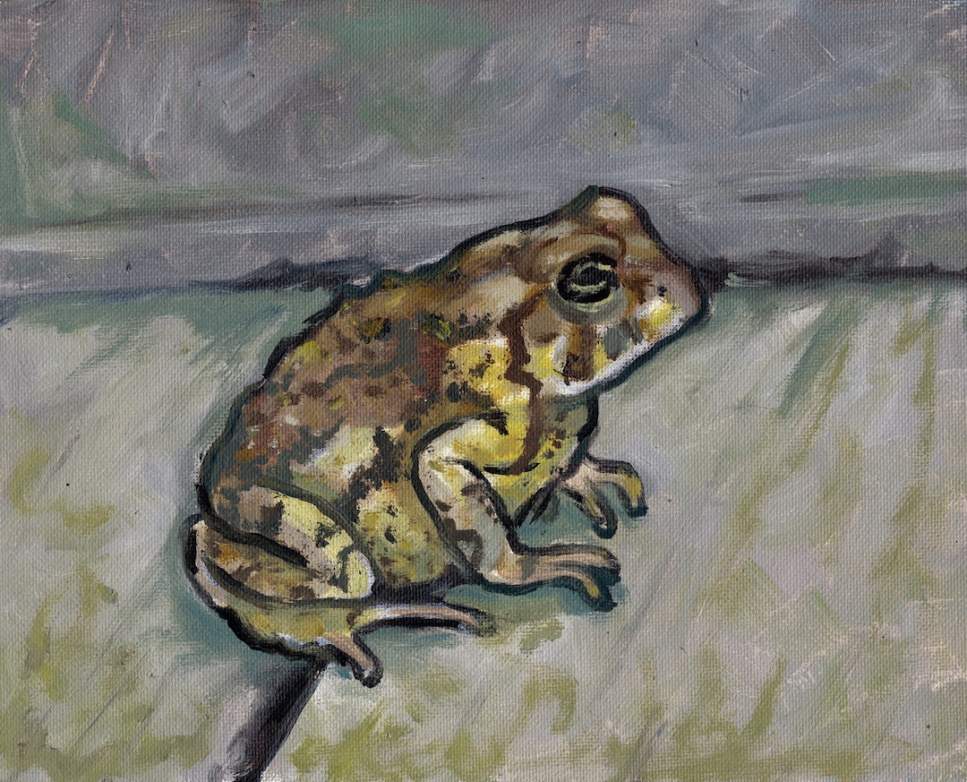 Garden Toad Art Print - Toad Wall Art - Toad Painting - Toad Art Print ...