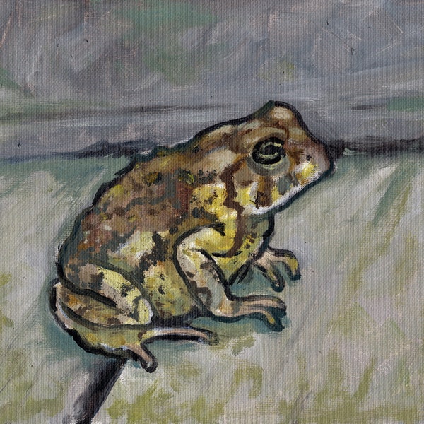 Toad Painting - Etsy
