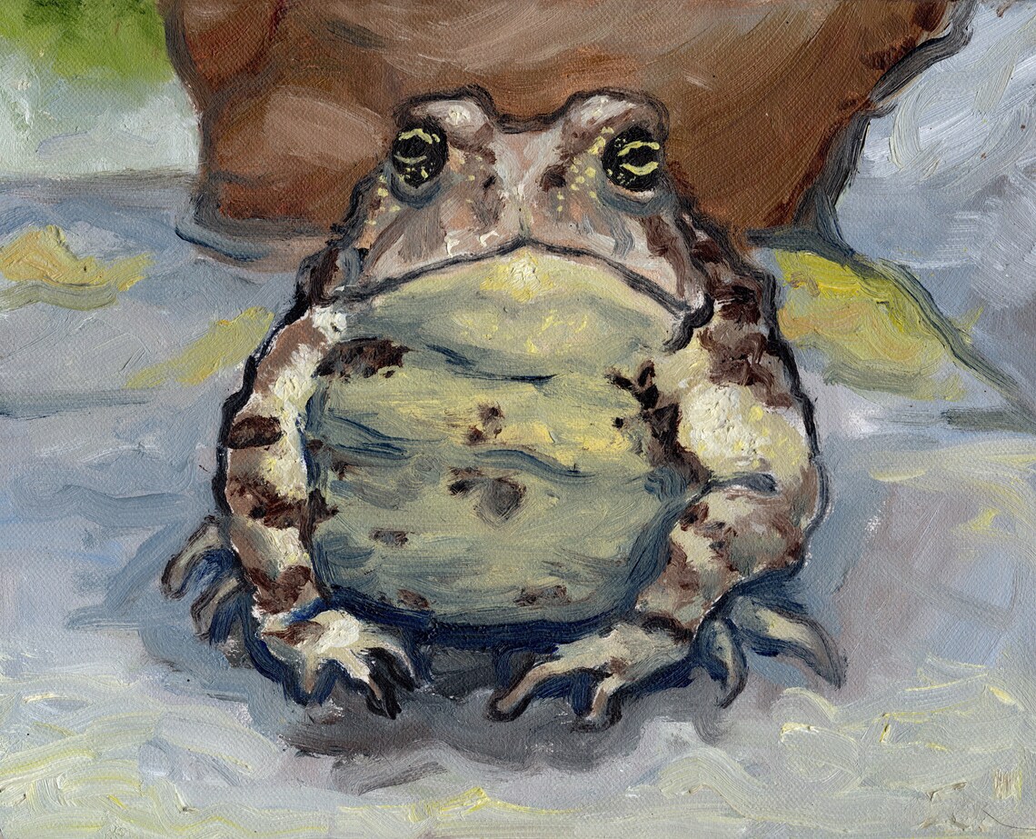 Toad Art Print Toad Wall Art Toad Painting Toad Art - Etsy