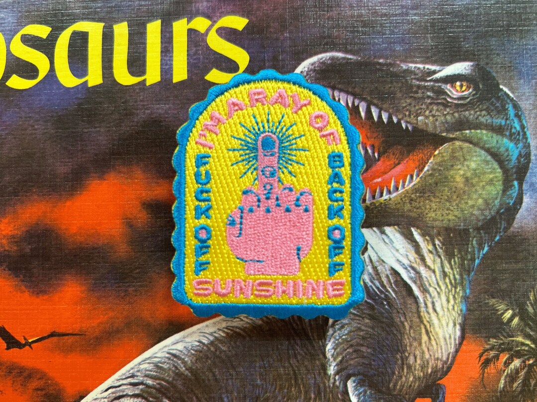 I'm A Ray of Sunshine Middle Finger Sarcasm Funny Snark Iron on ...