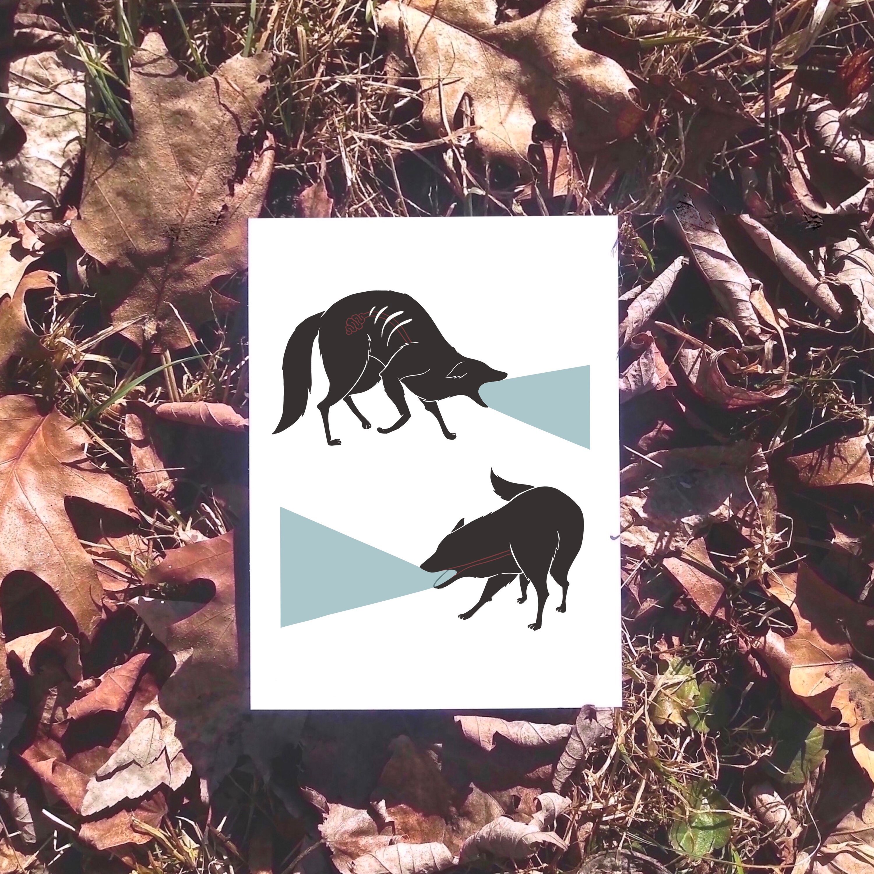 ALPHA Wolf Wall Art Surreal Art Print Wild Animals - Etsy