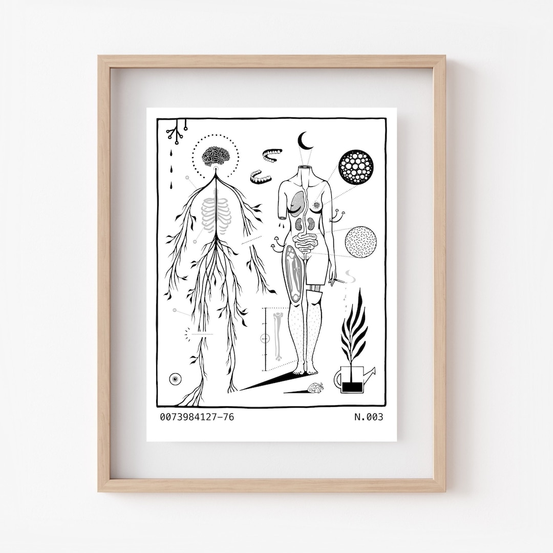 PIECES Human Anatomy Art Print Weird Stuff Surreal Wall Art Home Decor ...