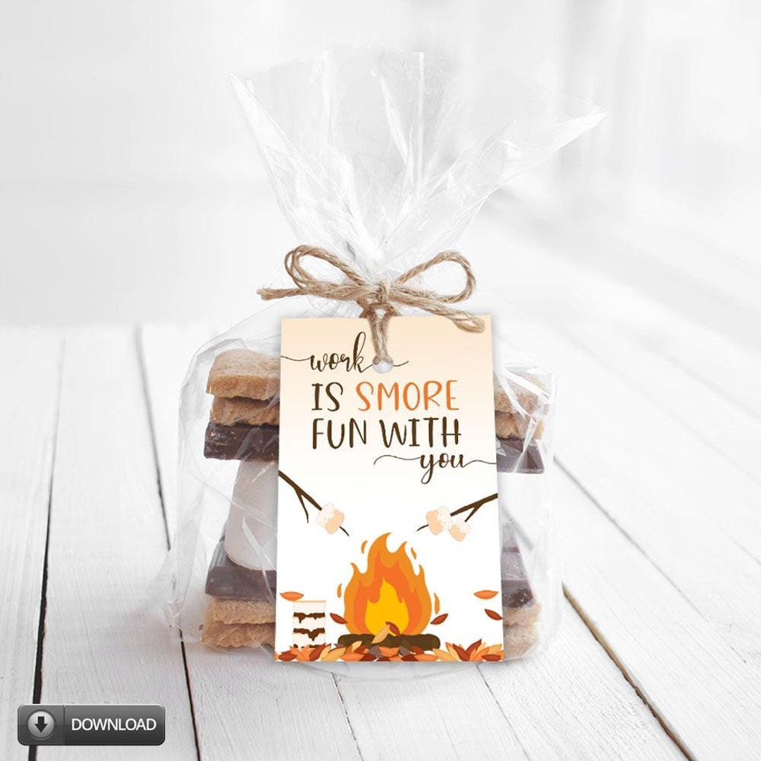 Printable Work is S'more Fun With You Gift Tags, Smore Gift Tag or Bag ...