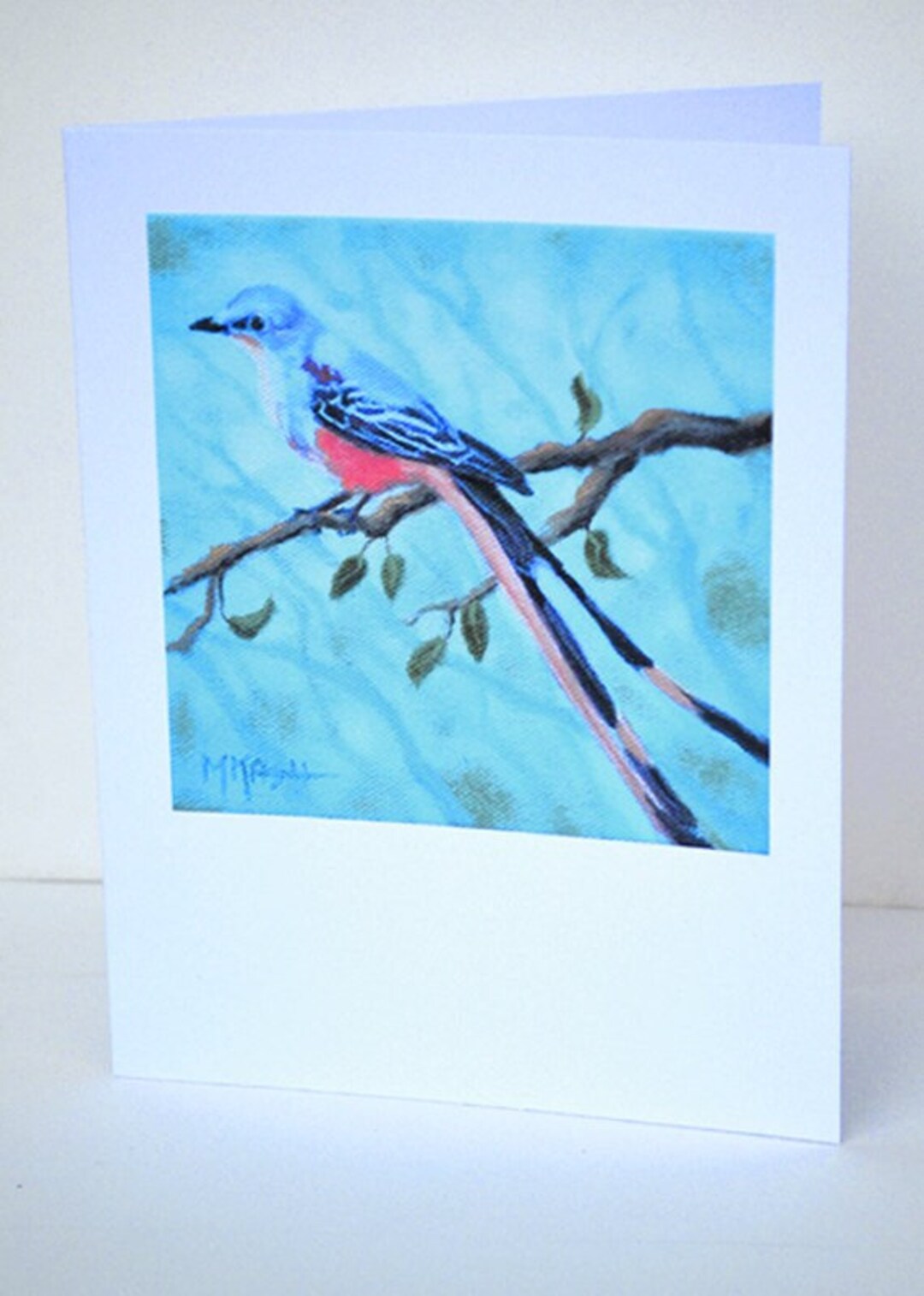 Scissortail Flycatcher / Greeting Card Box of 10 With Envelopes / 5" X ...