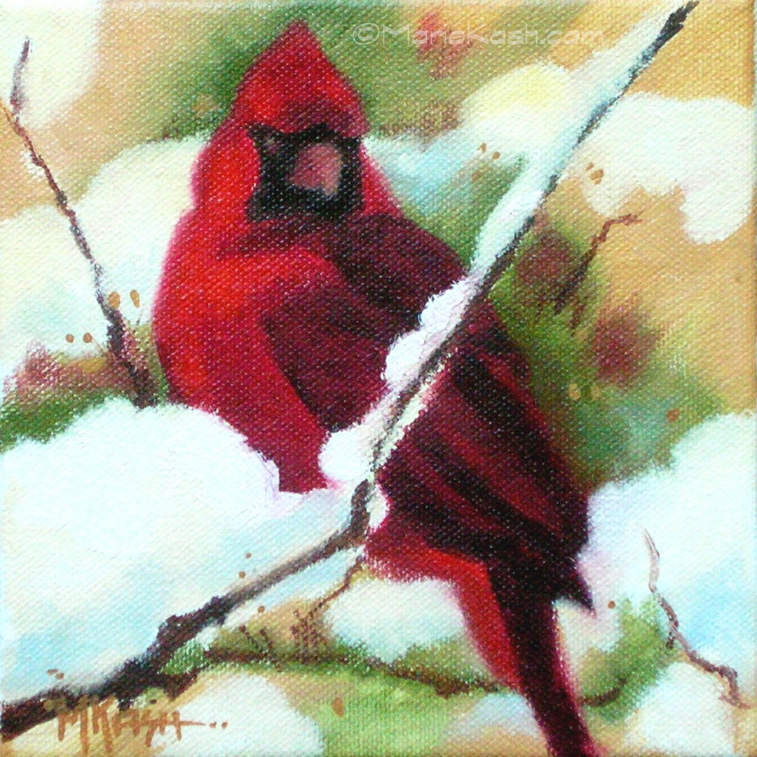 Snow Collection Bird Notecards: Cardinal, Bluebird, Owl, Original Bird ...
