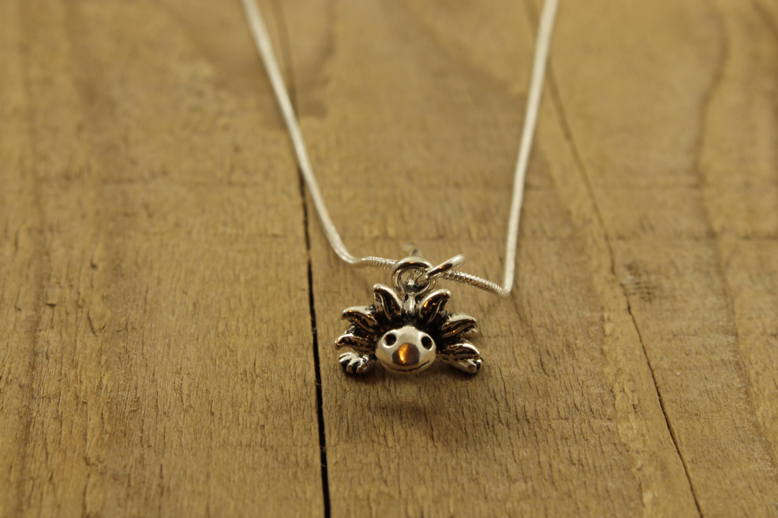 Axolotl Necklace, Axolotl Pendant, Axolotl Gift, Axolotl Fan, Silver ...