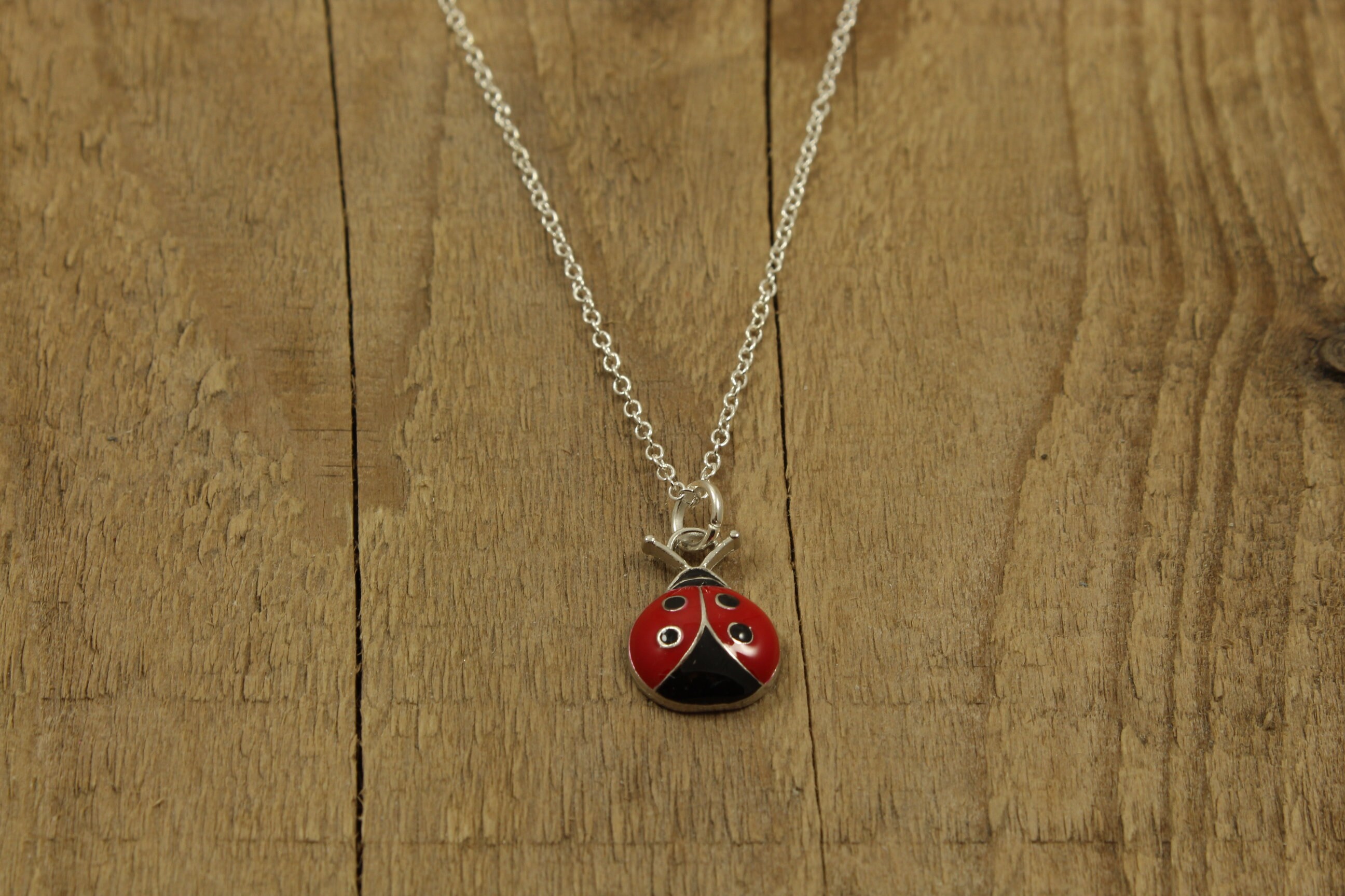 Ladybird Earrings, Ladybird Necklace, Ladybird Necklace and Earring Set ...
