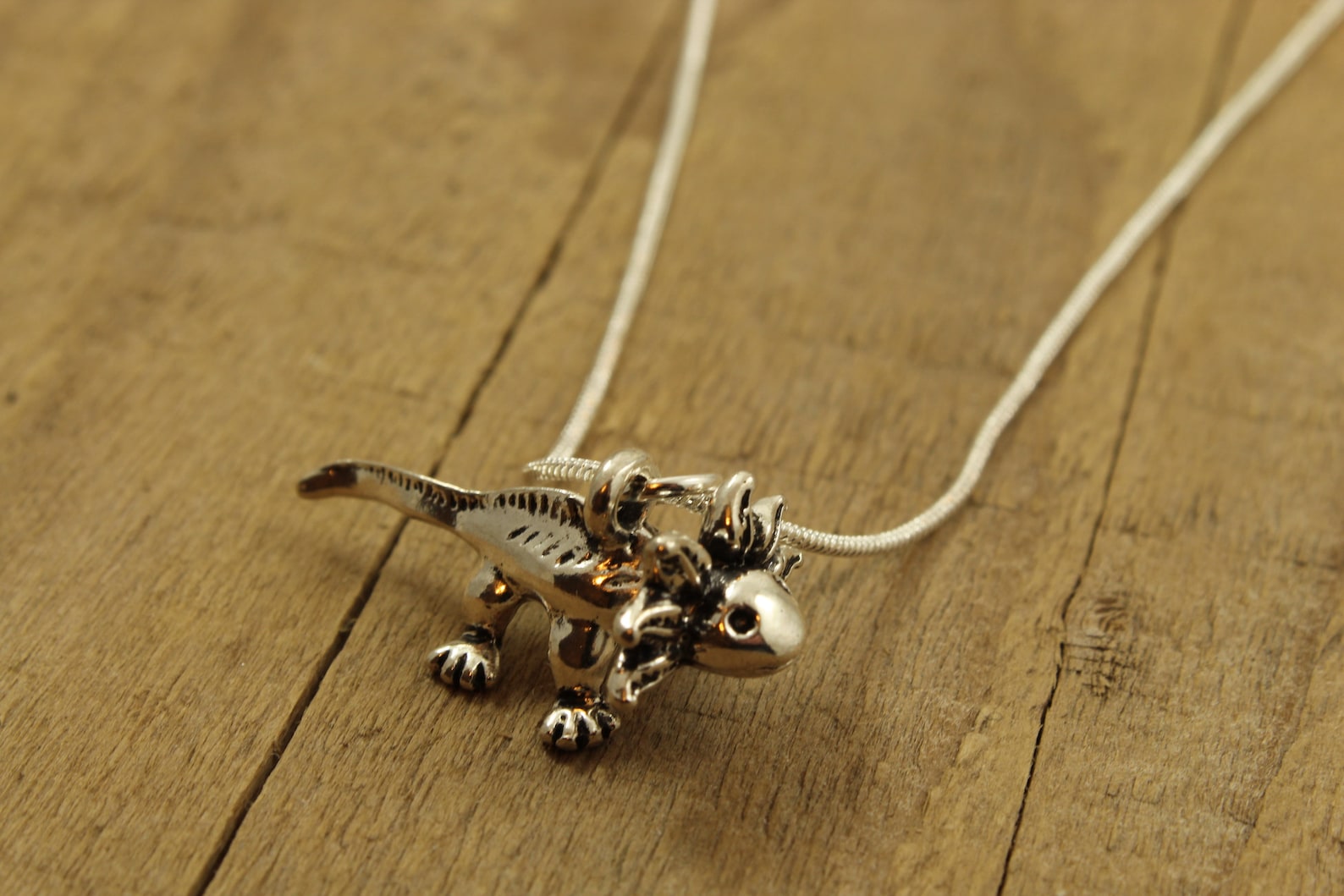 Axolotl Necklace, Axolotl Pendant, Axolotl Gift, Axolotl Fan, Silver ...