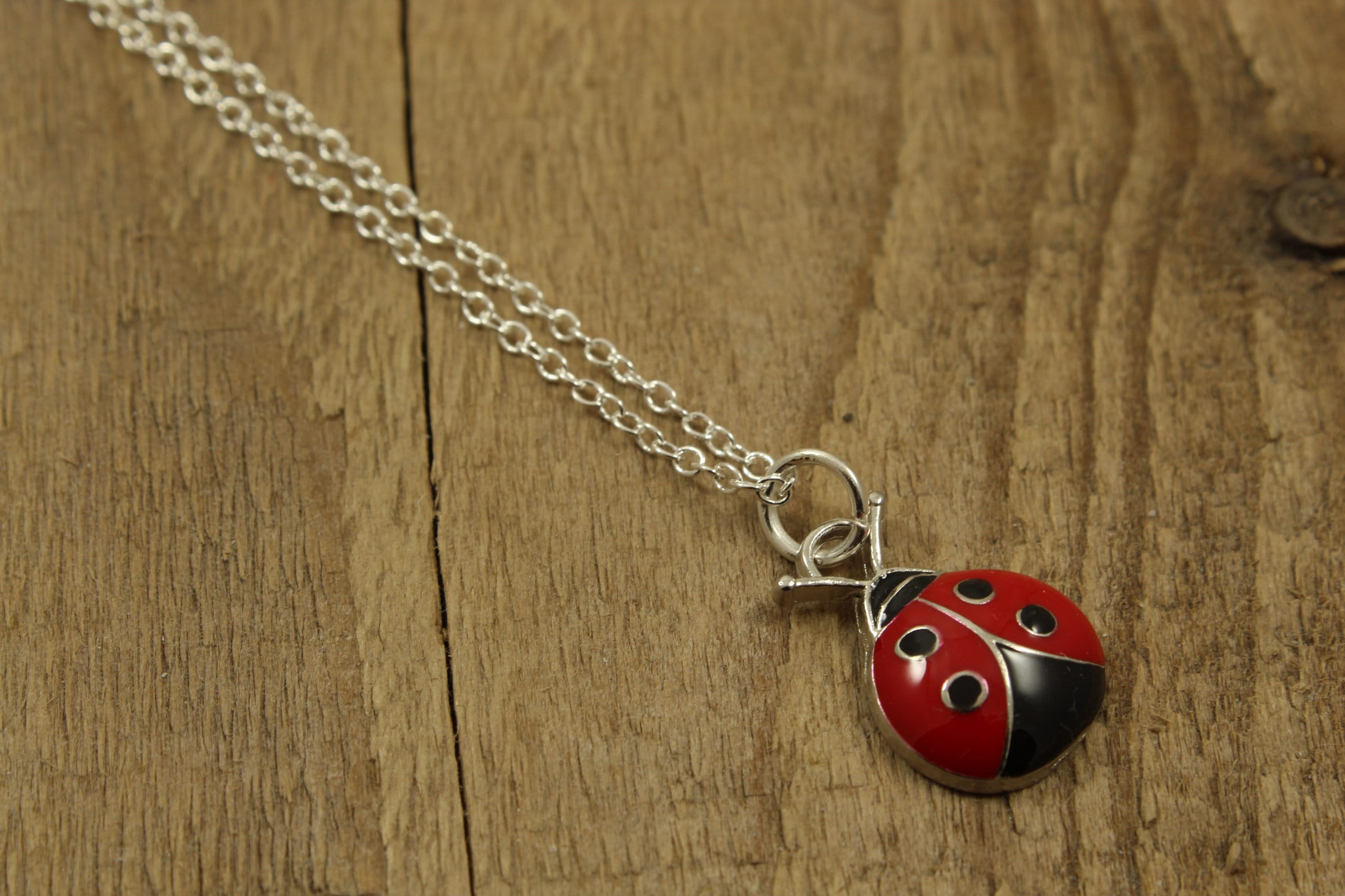Ladybird Earrings, Ladybird Necklace, Ladybird Necklace and Earring Set ...
