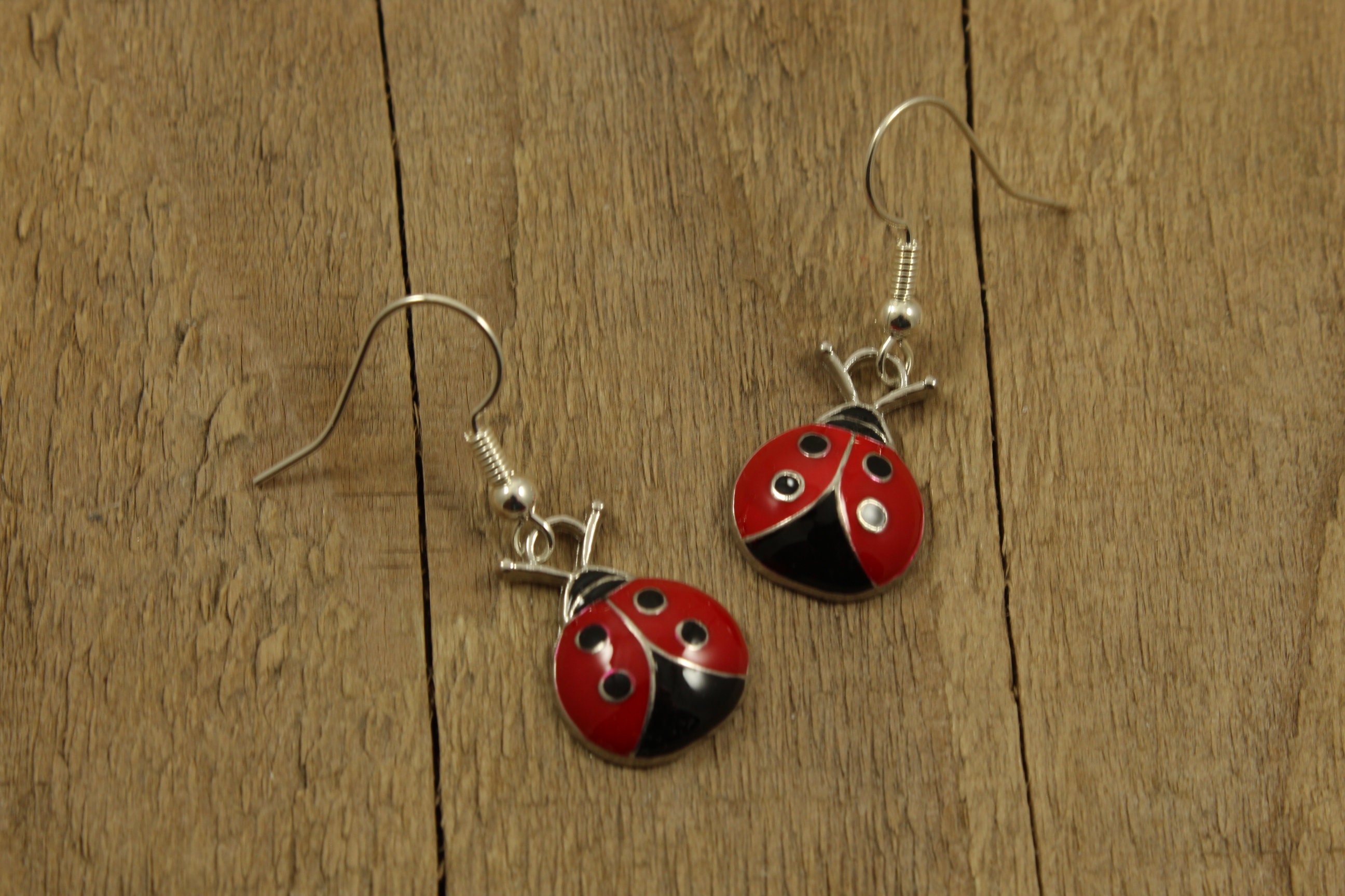 Ladybird Earrings, Ladybird Necklace, Ladybird Necklace and Earring Set ...