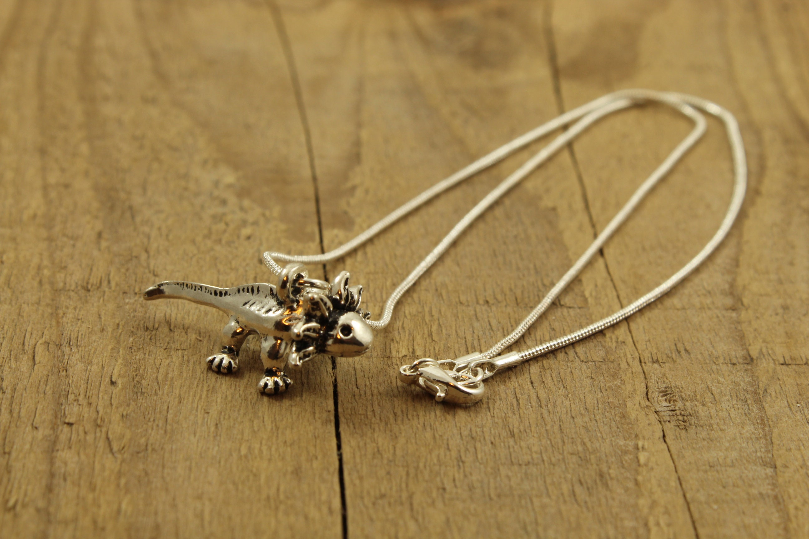Axolotl Necklace, Axolotl Pendant, Axolotl Gift, Axolotl Fan, Silver ...