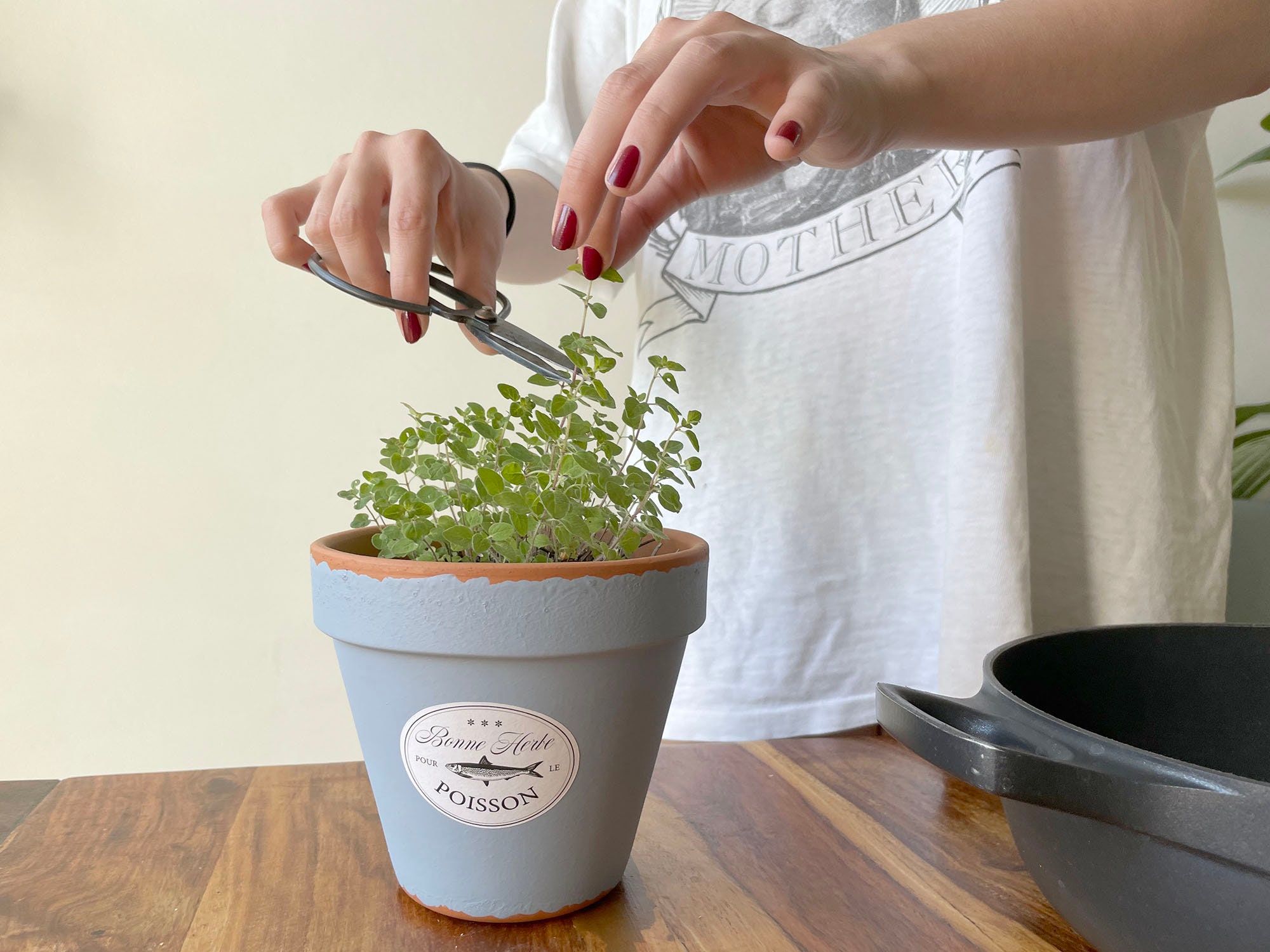 Labels for the Pot Assortment Labels for Flower Pots Flower Pot Label ...