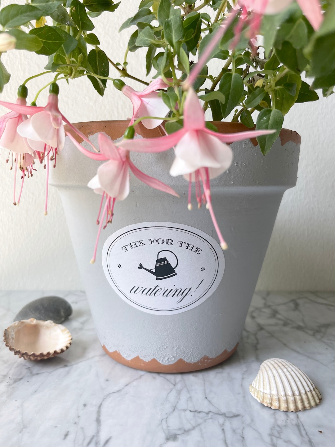 Labels for the Pot Assortment Labels for Flower Pots Flower Pot Label ...