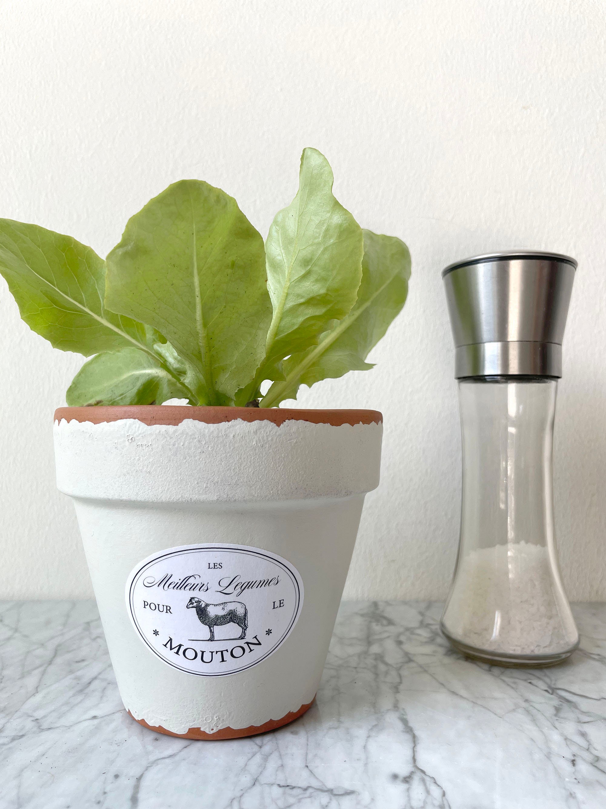 Labels for the Pot Assortment Labels for Flower Pots Flower Pot Label ...