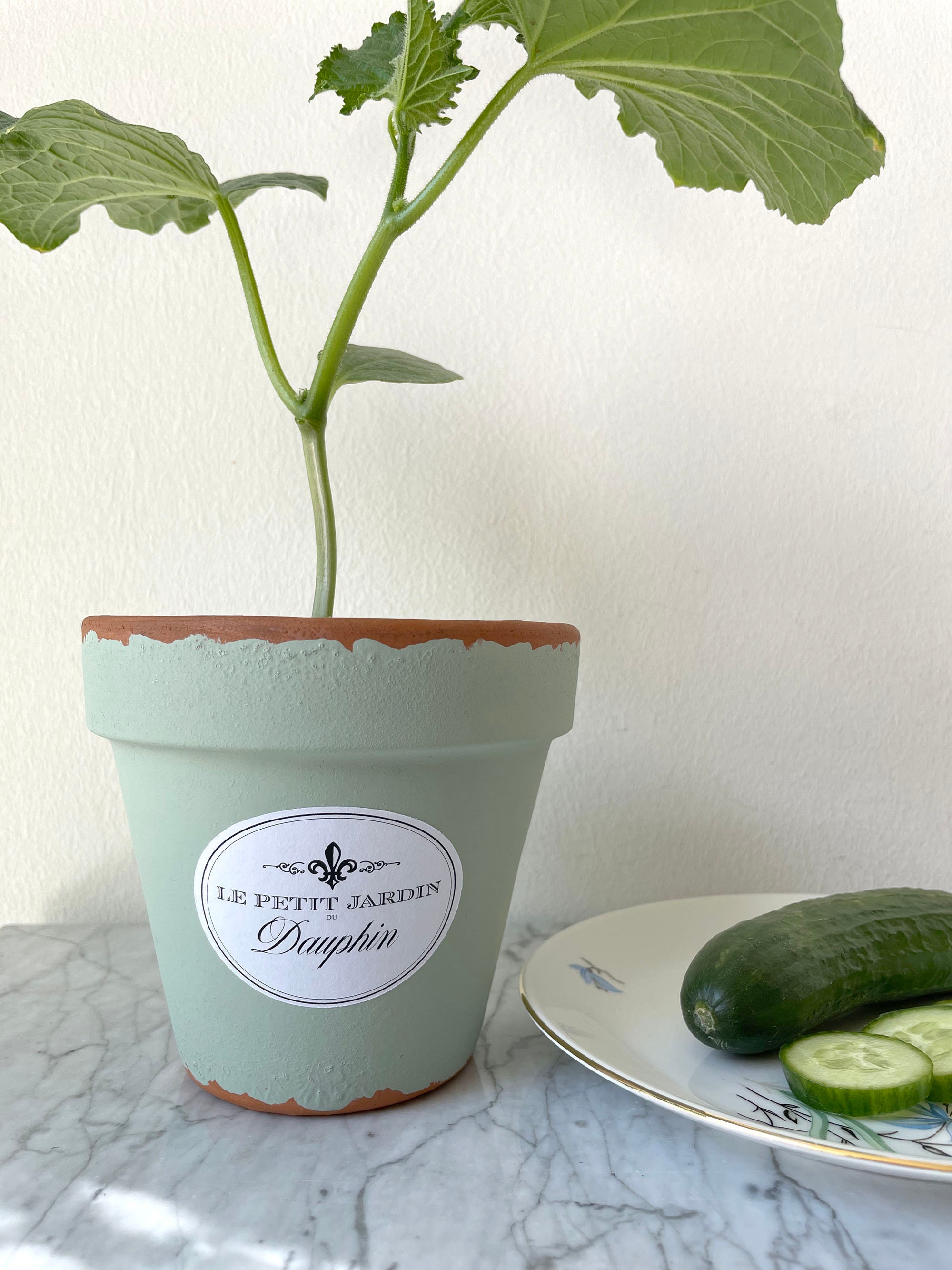 Labels for the Pot Assortment Labels for Flower Pots Flower Pot Label ...