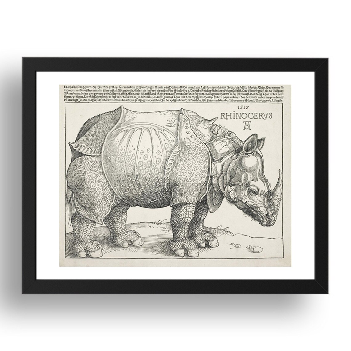 Rhinoceros 1515 by Albrecht Durer influential Renaissance | Etsy