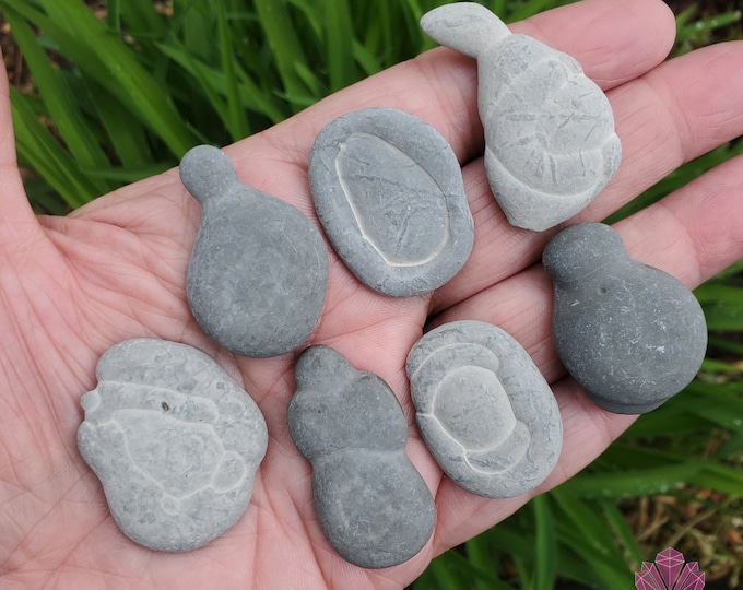 Fairy Stones 1.5 Canadian Fairy Stones Concretion Stone Goddess Stones ...