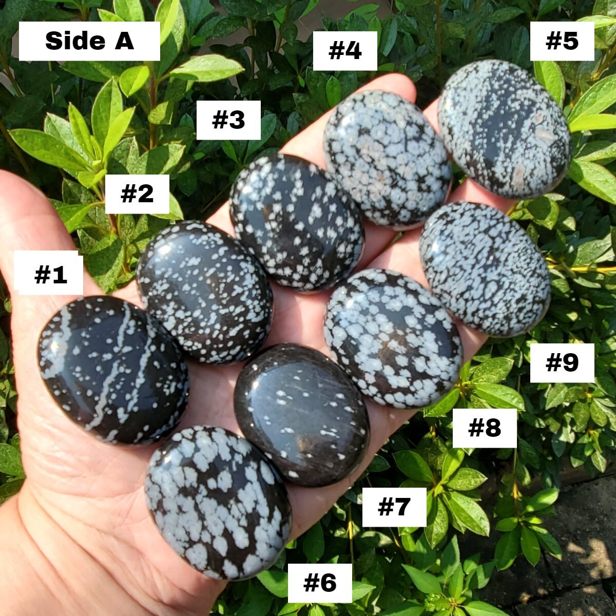 Snowflake Obsidian Palm Stones Obsidian Soapstone | Etsy