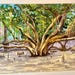 Family Tree Forever - Etsy