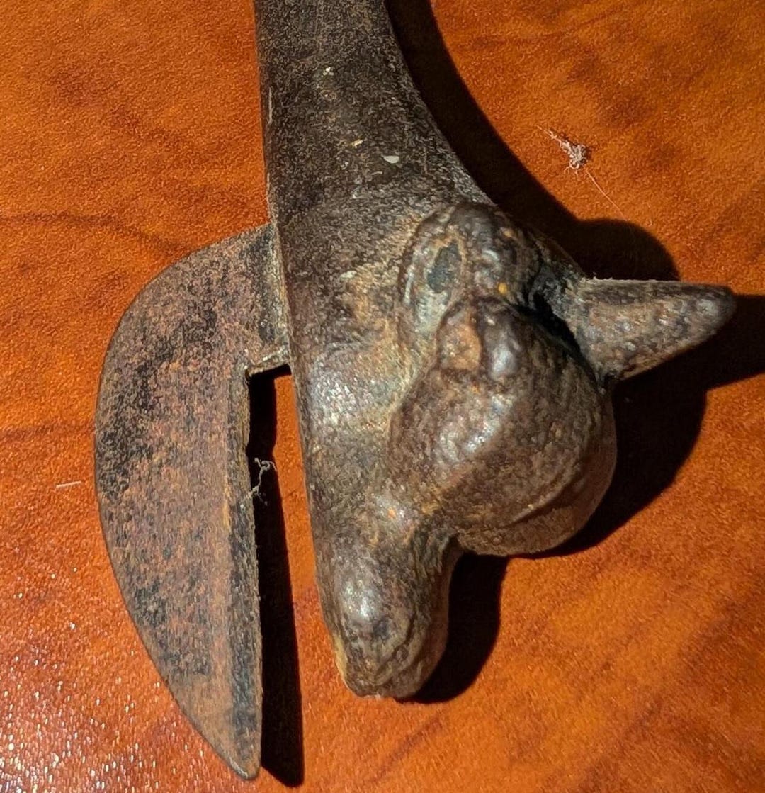 Antique Primitive Rustic Bulls Head Can Opener, Cast Iron, France. - Etsy