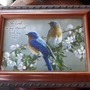 Cottage Garden Blue Yellow Bird Themed Wooden Music Box With White ...