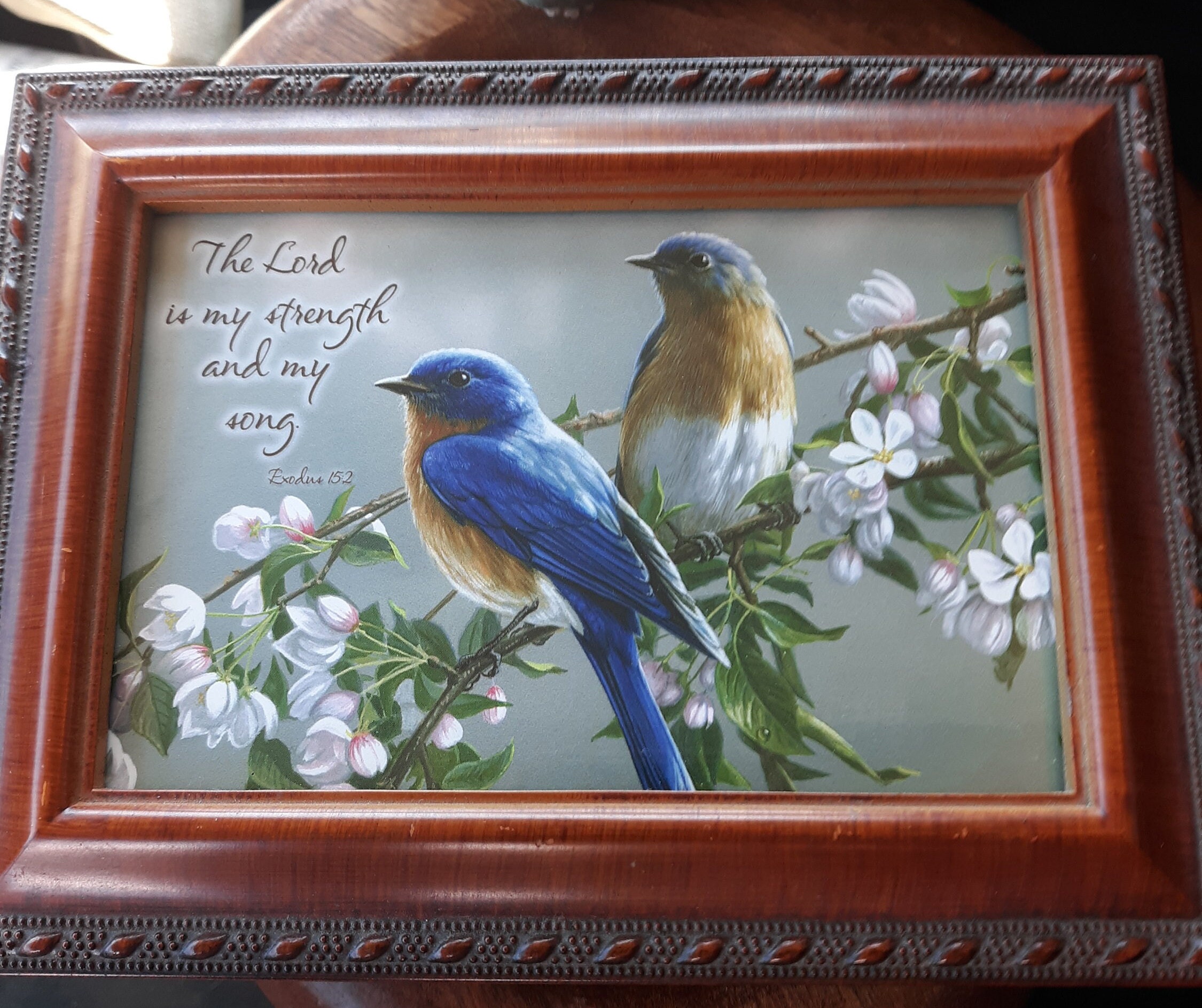 Cottage Garden Blue Yellow Bird Themed Wooden Music Box With White ...