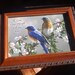 Cottage Garden Blue Yellow Bird Themed Wooden Music Box With White ...
