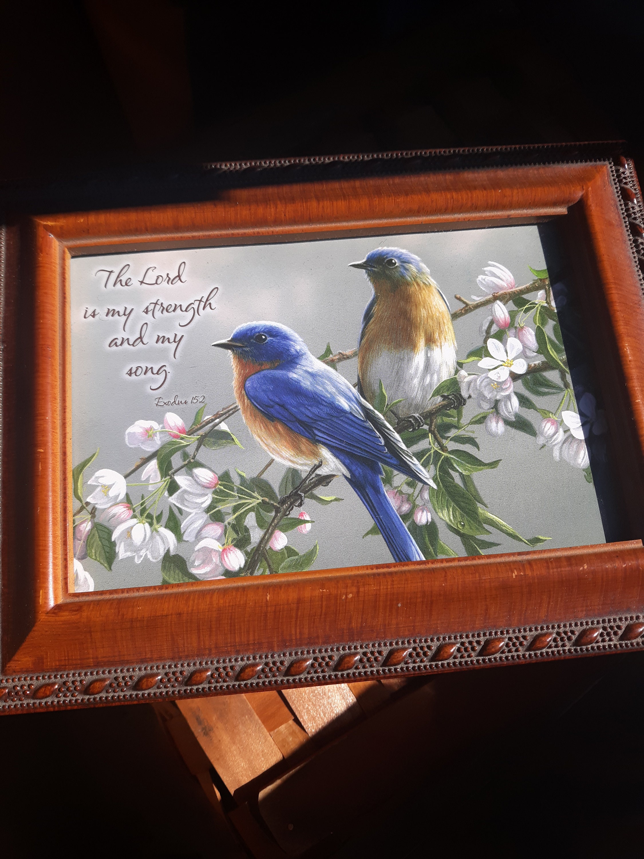 Cottage Garden Blue Yellow Bird Themed Wooden Music Box With White ...