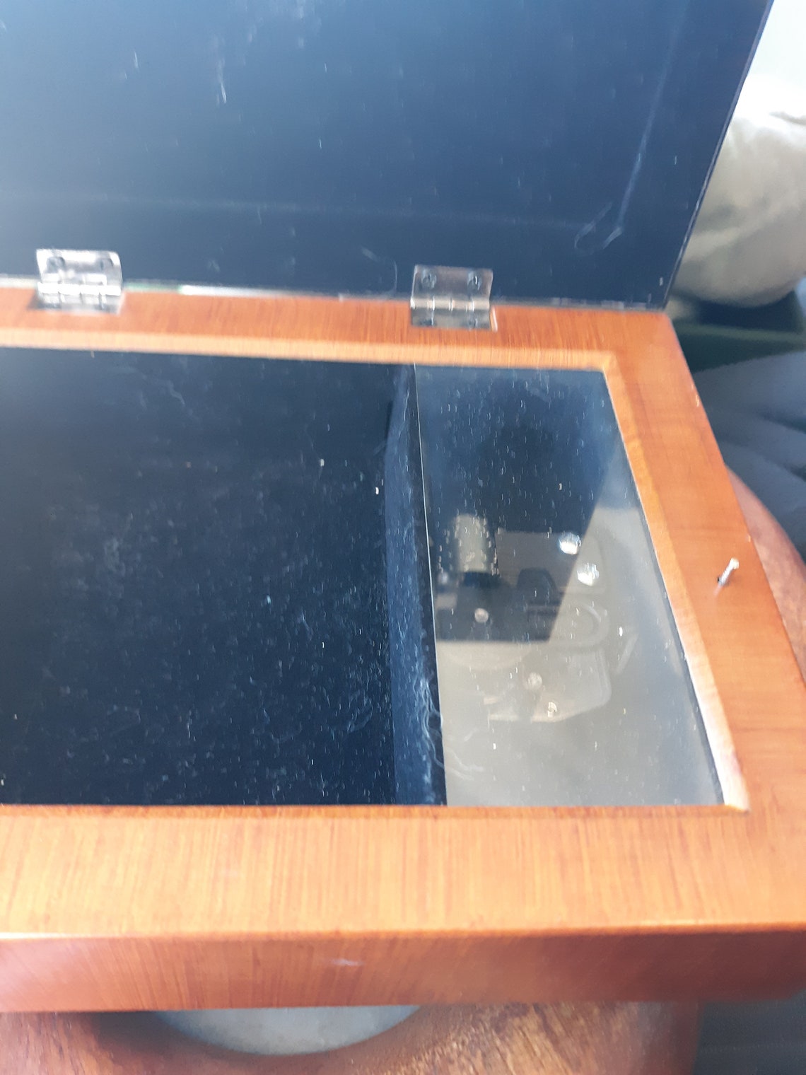 Cottage Garden Blue Yellow Bird Themed Wooden Music Box With White ...