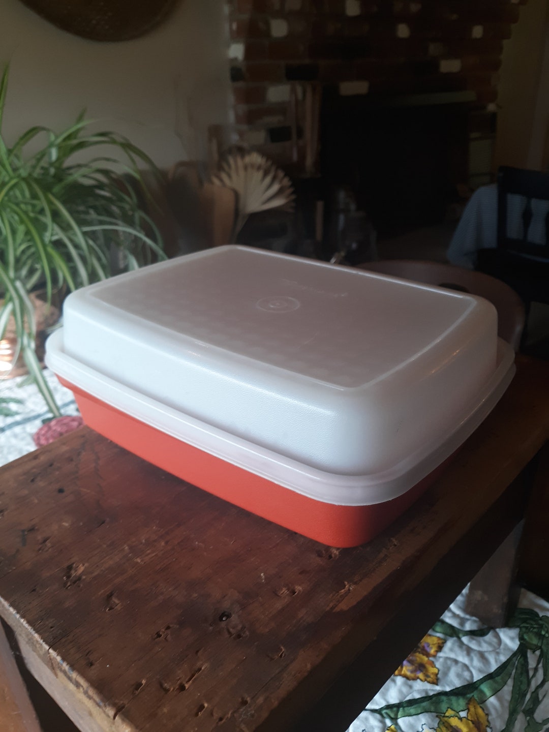 Vintage Tupperware Medium Meat Tenderizer Marinade Box Container, Color ...