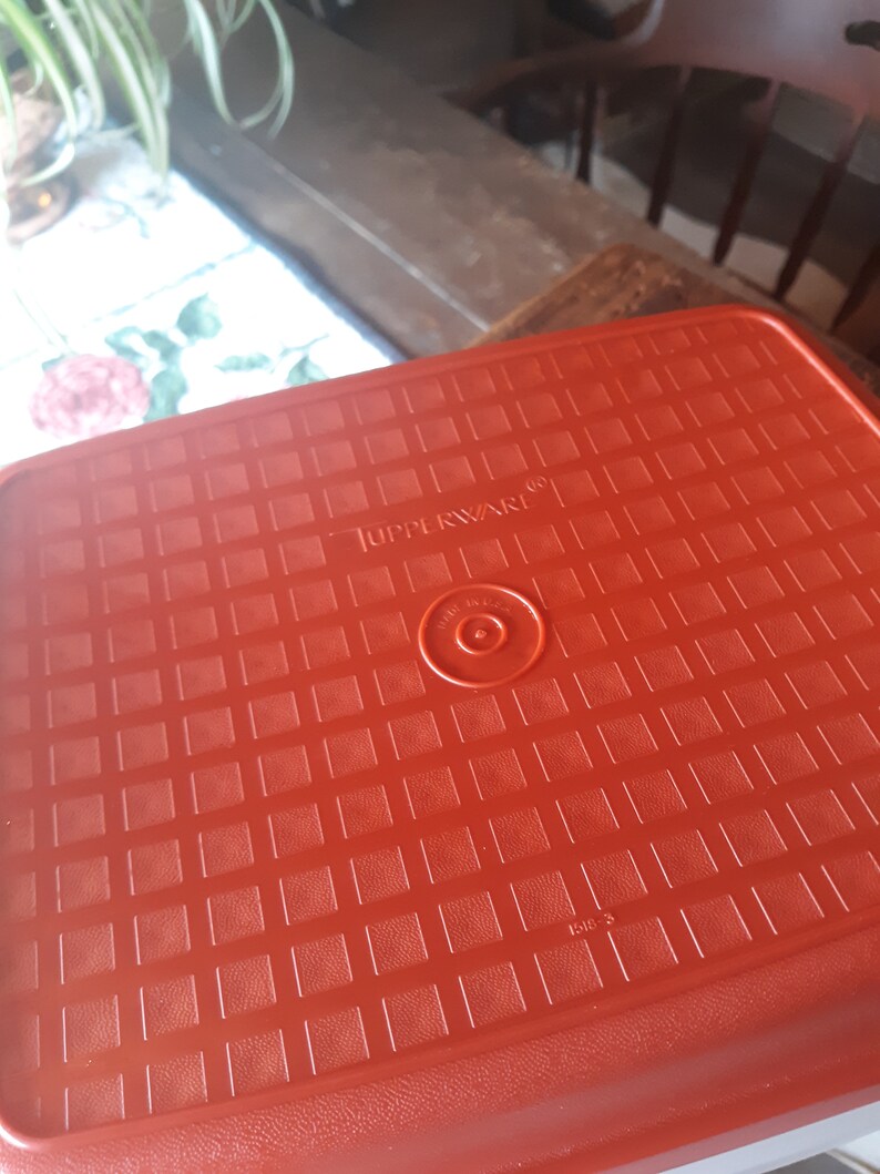 Vintage Tupperware Medium Meat Tenderizer Marinade Box Container, Color ...