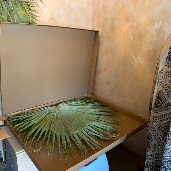 Palm Frond Art - Etsy