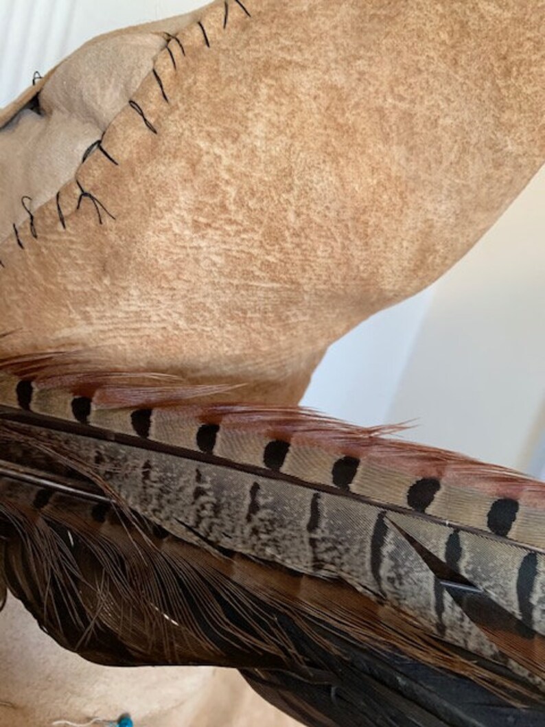 Laszlo's Witch Skin Hat - Etsy