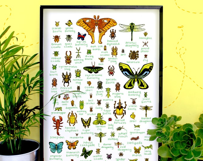 All the Bugs in Animal Crossing Print - Etsy