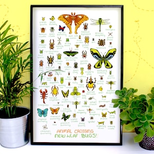 All the Bugs in Animal Crossing Print - Etsy