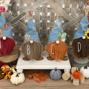 Fall Denim Gnome Collection, Autumn Gnomes, Jean Gnomes, Denim Gnome ...