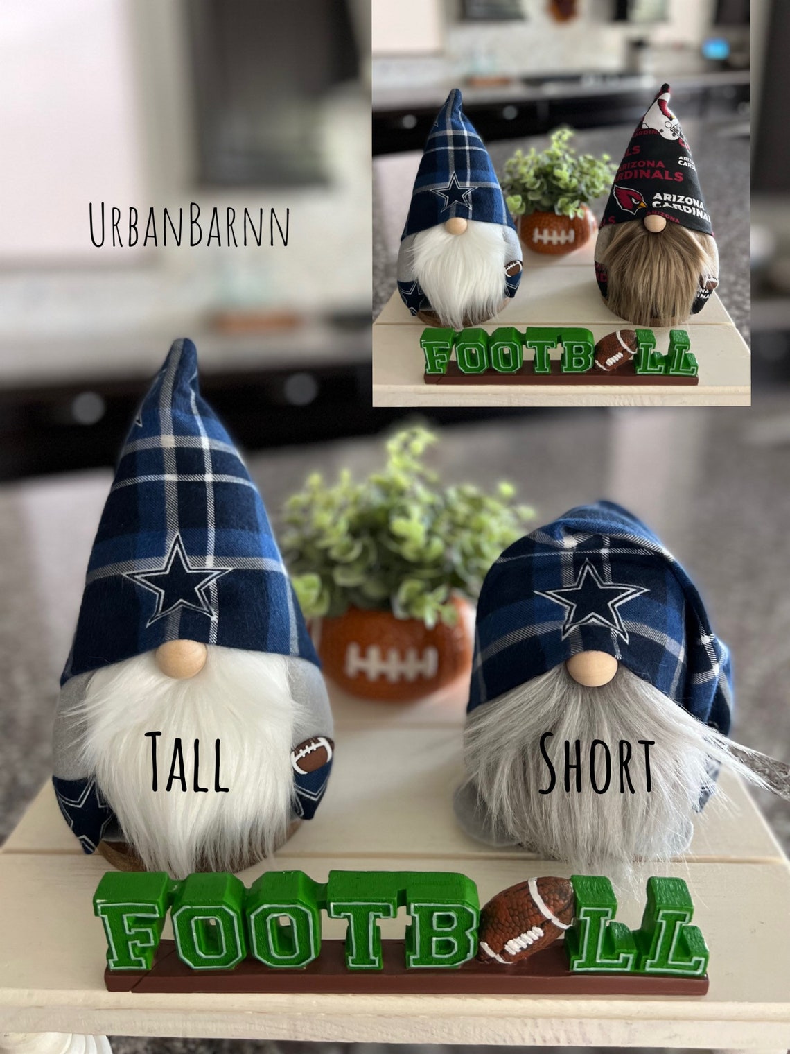 Baltimore Ravens Football Gnome, San Francisco 49ers Gnomes, NFL ...