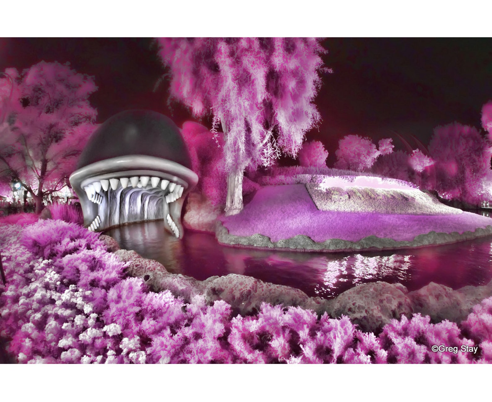 PINK Storybook Land Nighttime Infrared 172 Disneyland Canal - Etsy